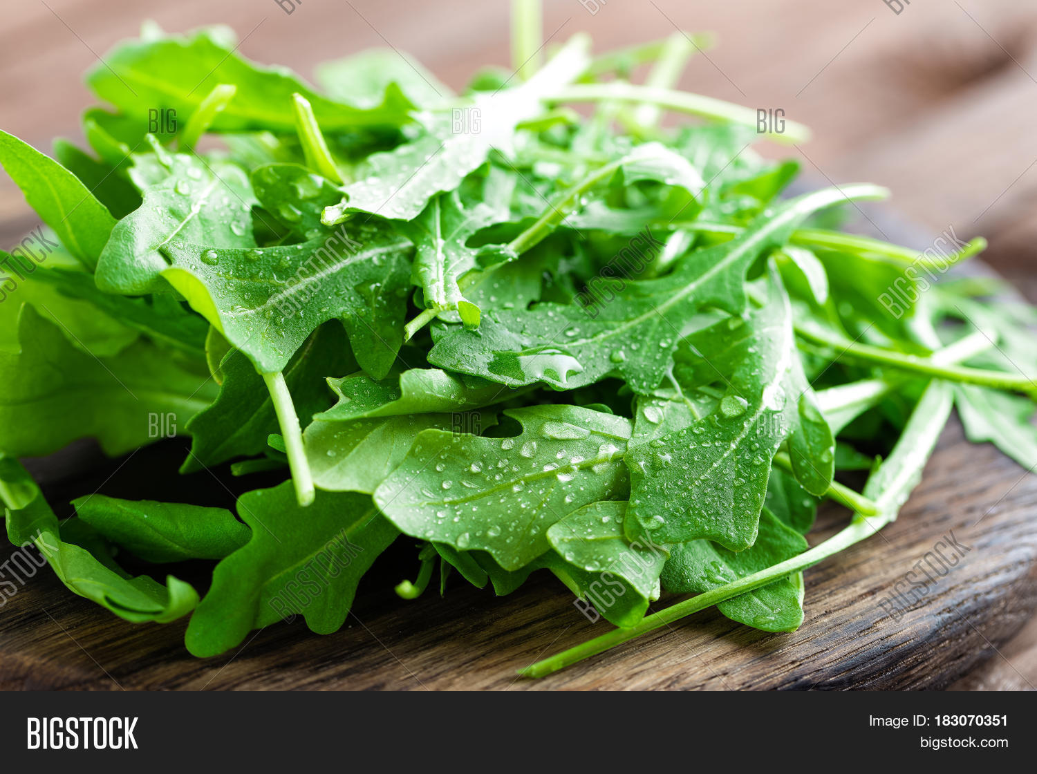Fresh Arugula Leaves Image & Photo (Free Trial) | Bigstock