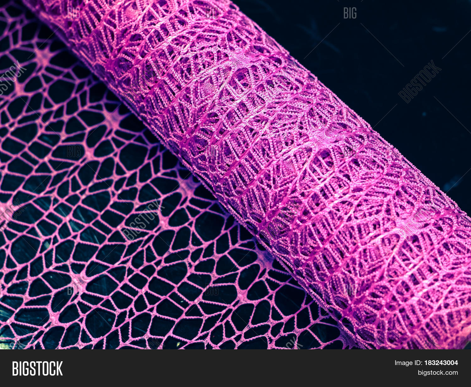 Colorful Purple Image & Photo (Free Trial) | Bigstock