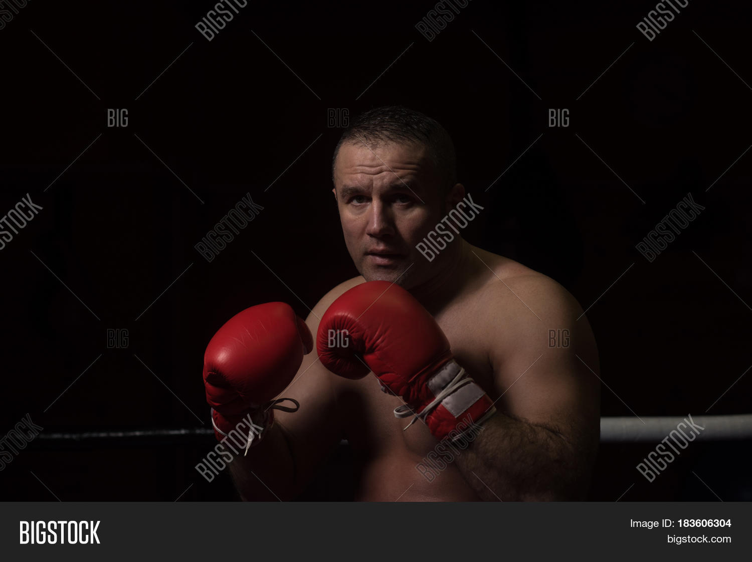 Professional Kickboxer Image & Photo (Free Trial) | Bigstock