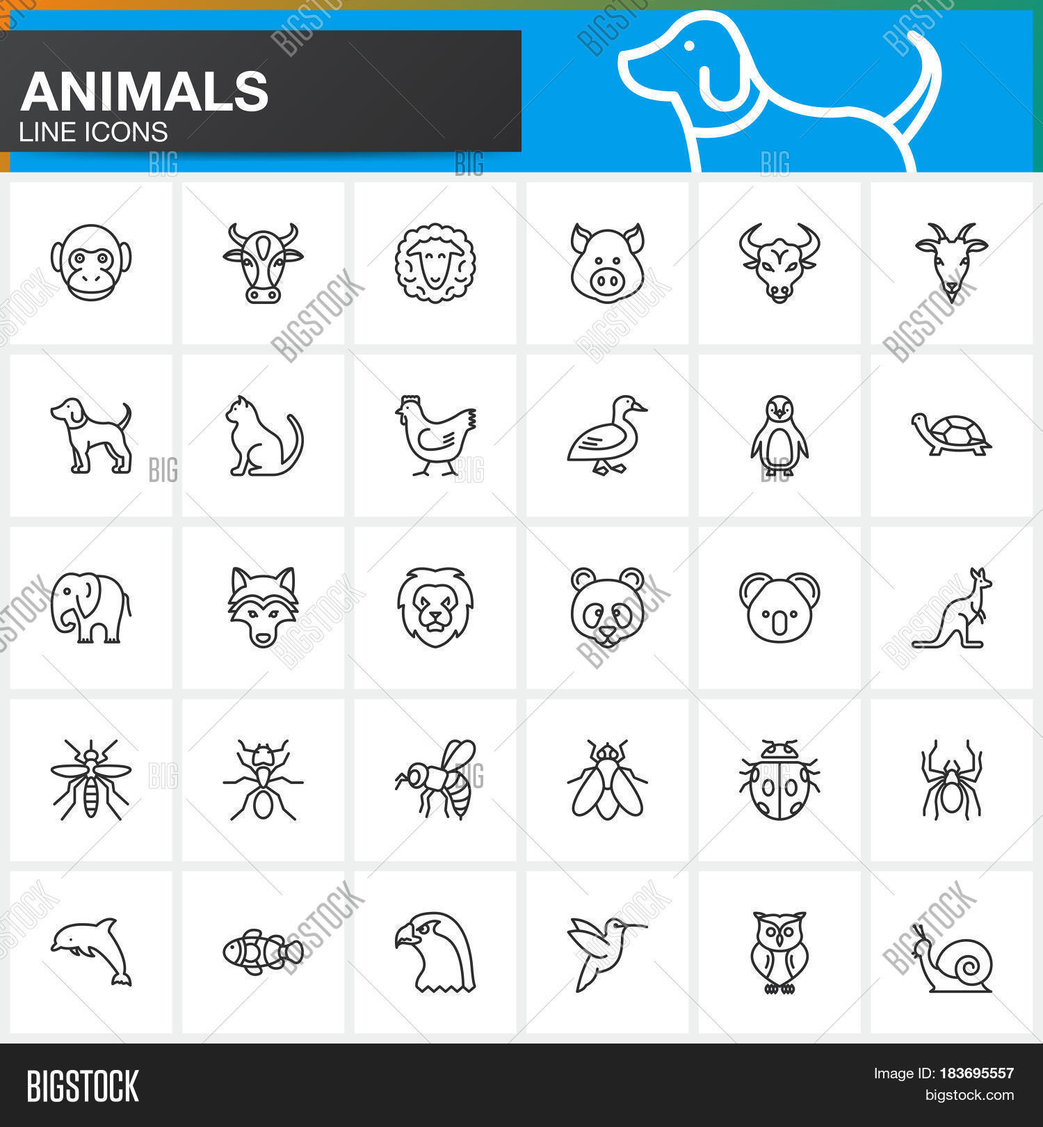 Animals Line Icons Vector & Photo (Free Trial) | Bigstock