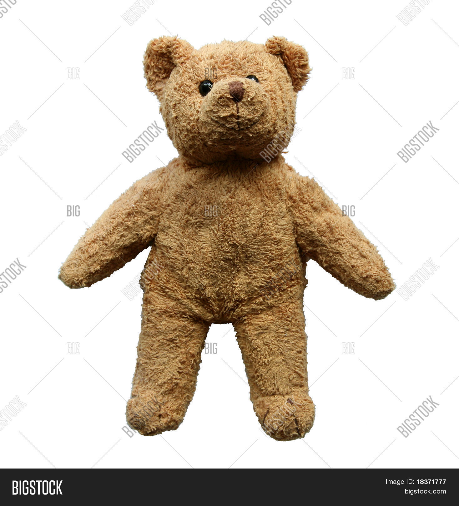 Teddy Bear Isolated On Image & Photo (Free Trial) | Bigstock