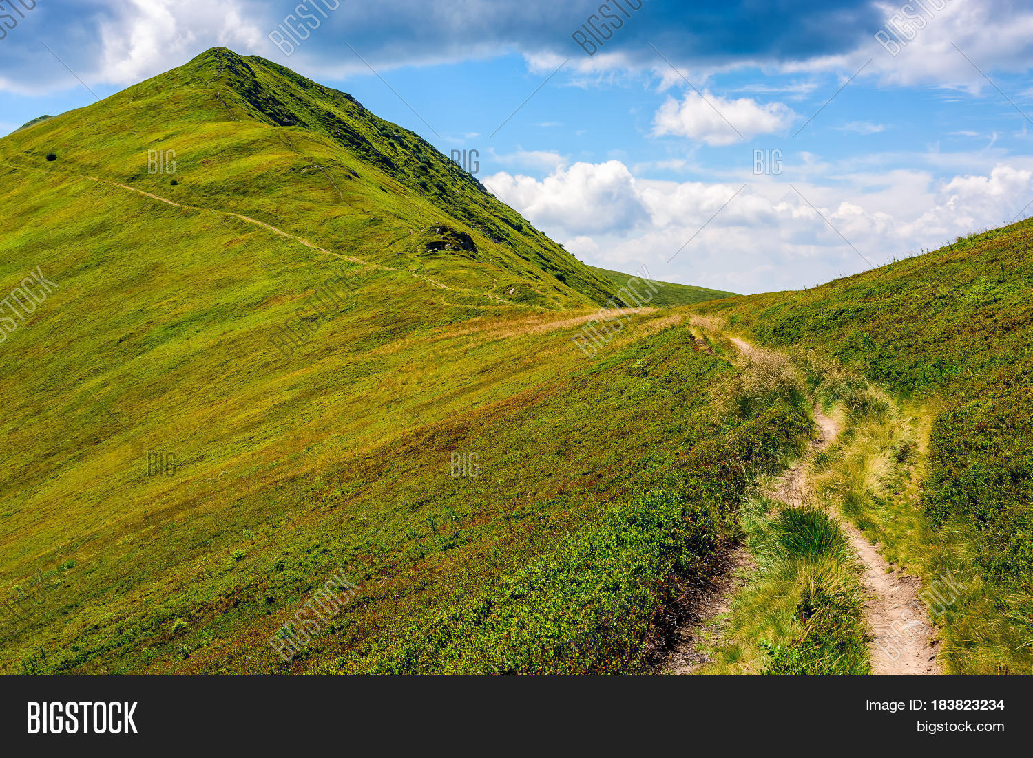Path Through Meadow Image & Photo (Free Trial) | Bigstock