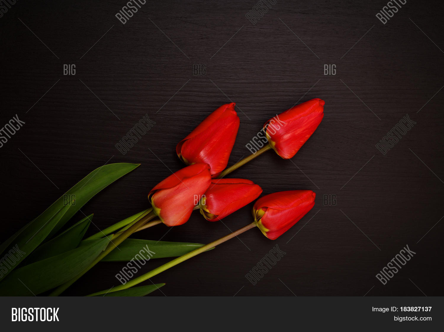 Five Red Tulips On Image & Photo (Free Trial) | Bigstock