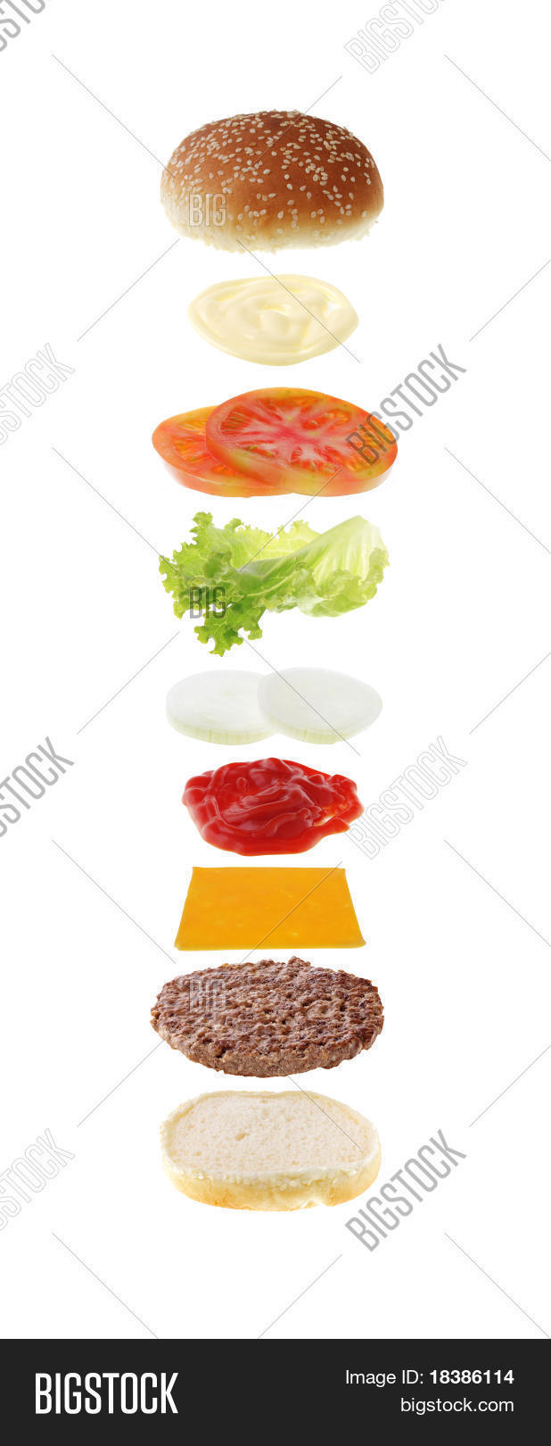 Hamburger Ingredients Image & Photo (Free Trial) | Bigstock