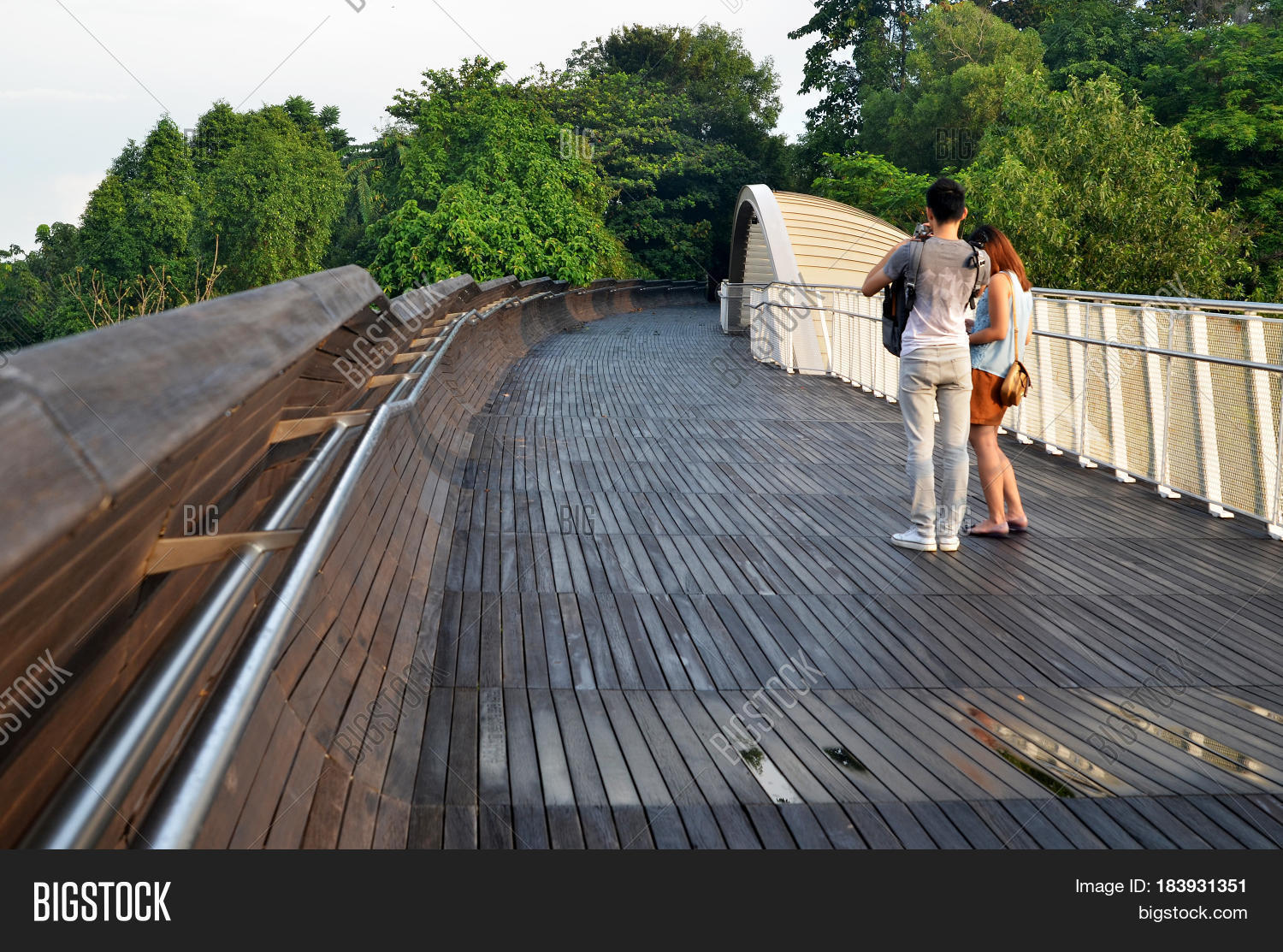 Henderson Waves Bridge Image & Photo (Free Trial) | Bigstock
