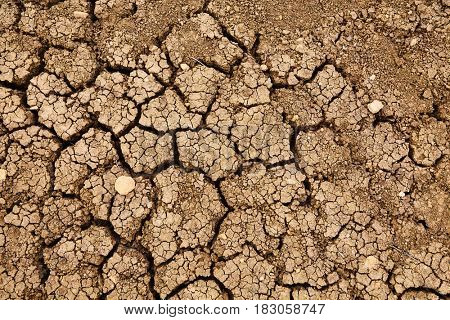 Dried Out Soil Texture Image & Photo (Free Trial) | Bigstock