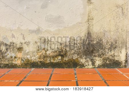 Close Top Mildewed Image & Photo (Free Trial) | Bigstock