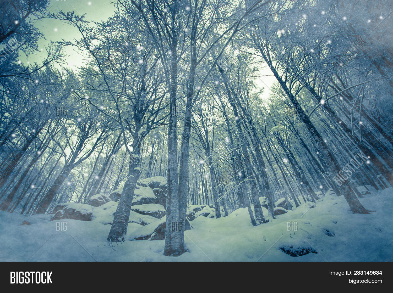 Magic Snowfall Image & Photo (Free Trial) | Bigstock
