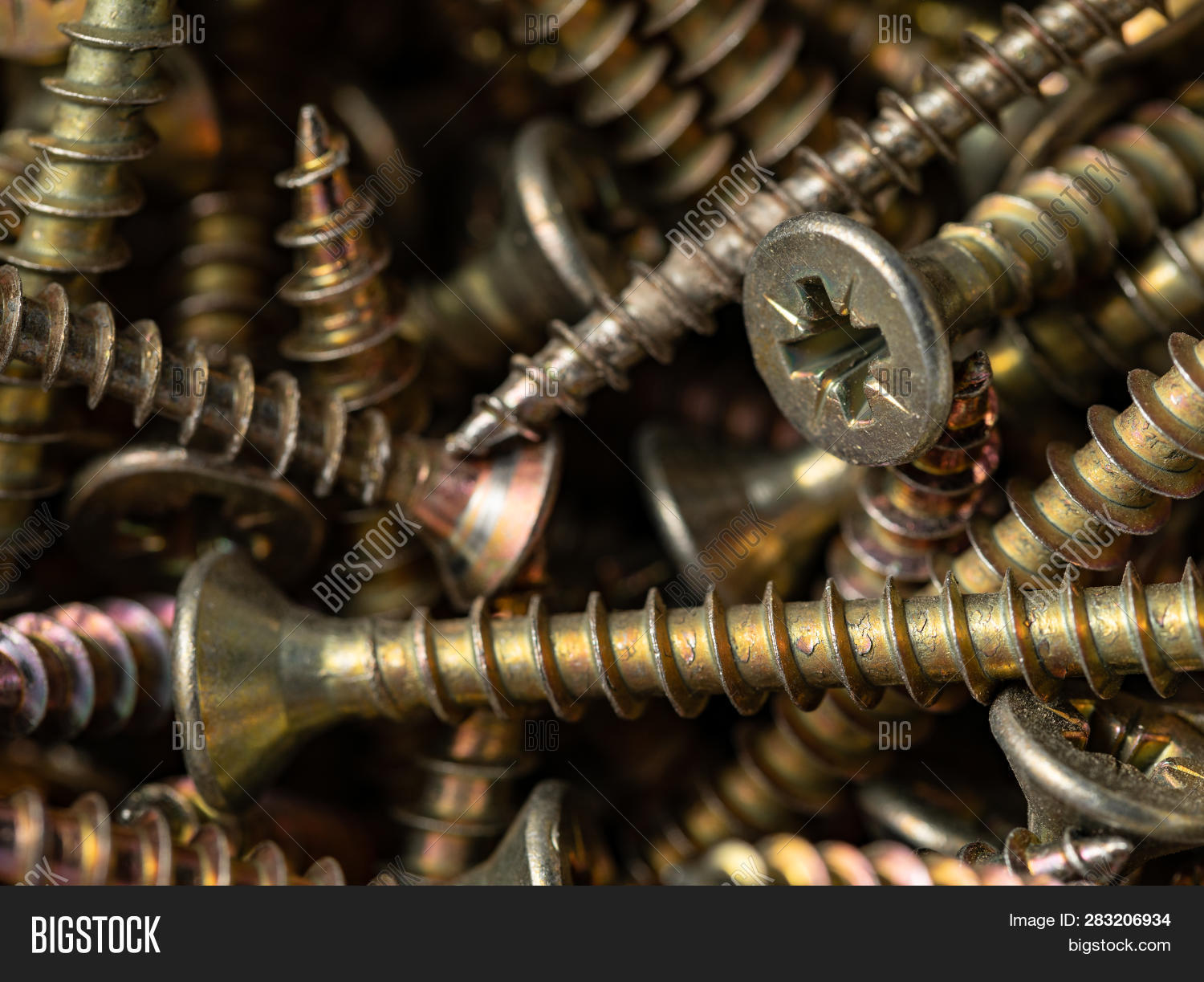 Macro Photo Screws. Image & Photo (Free Trial) | Bigstock