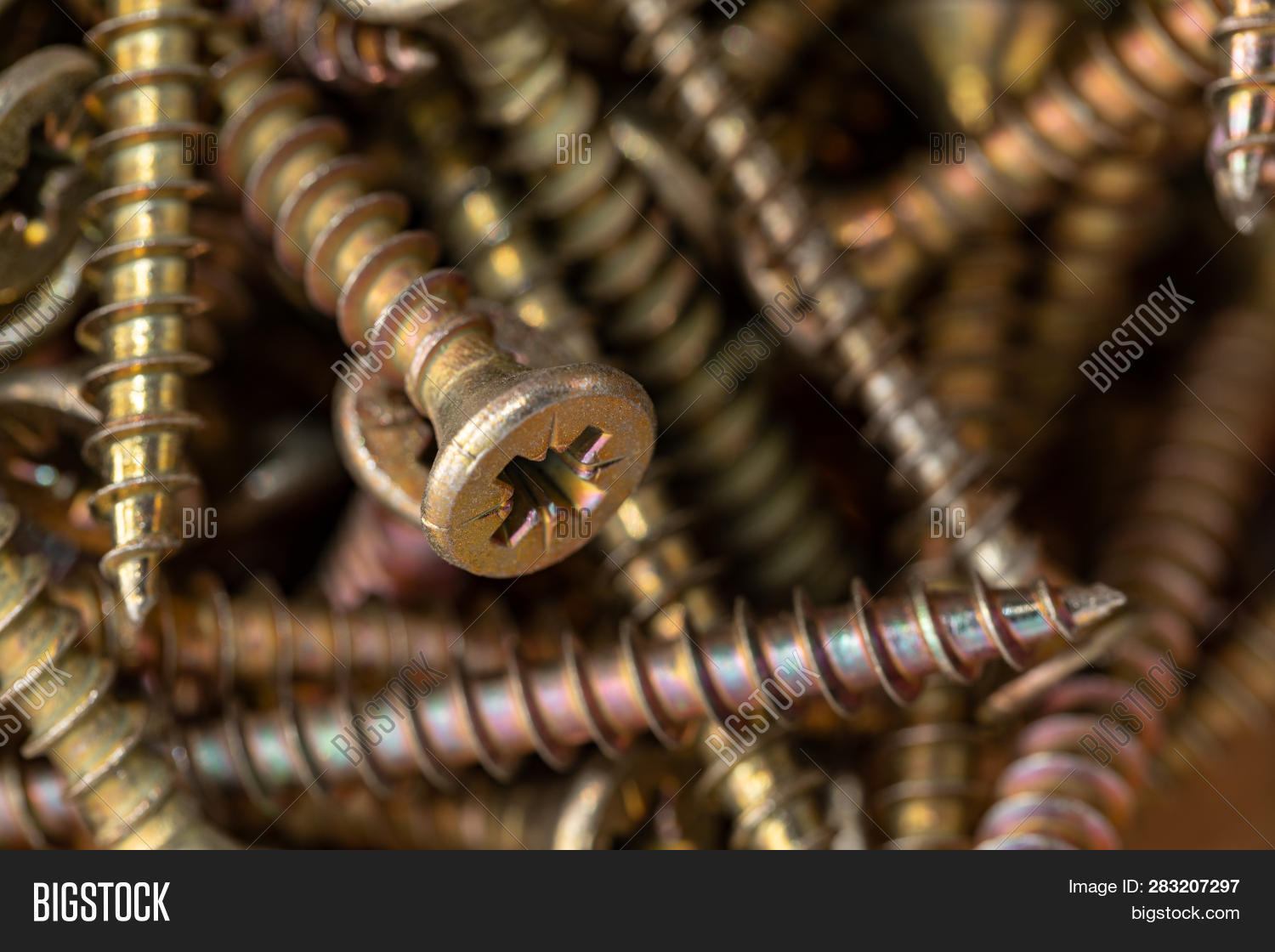 Macro Photo Screws. Image & Photo (Free Trial) | Bigstock