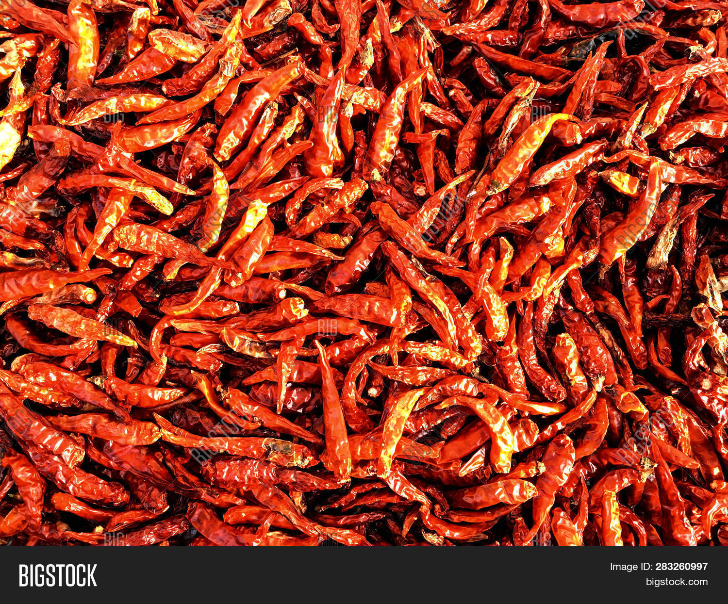 Bright Red Dry Chili Image & Photo (Free Trial) | Bigstock