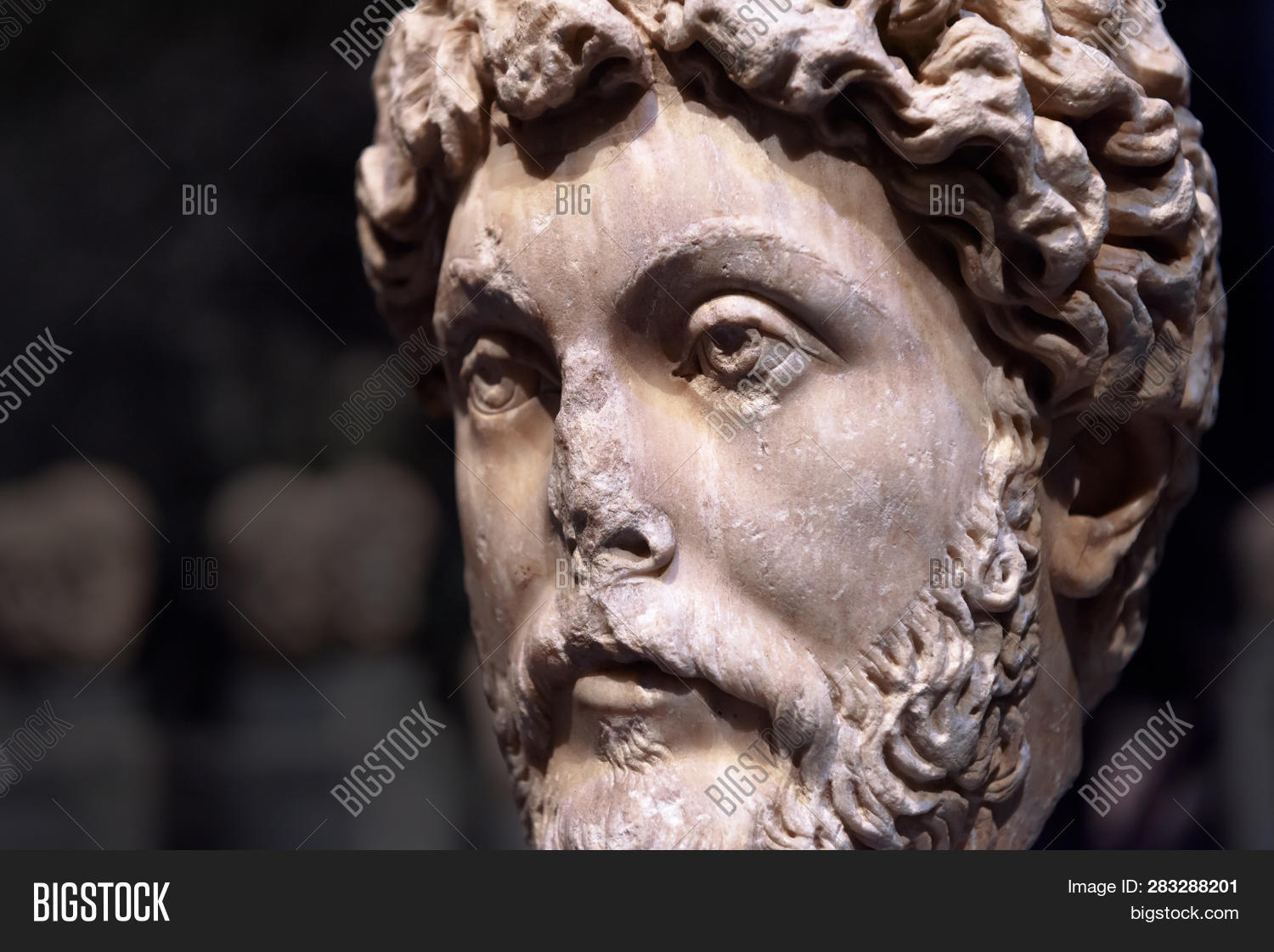 Head Roman Emperor Image & Photo (Free Trial) | Bigstock