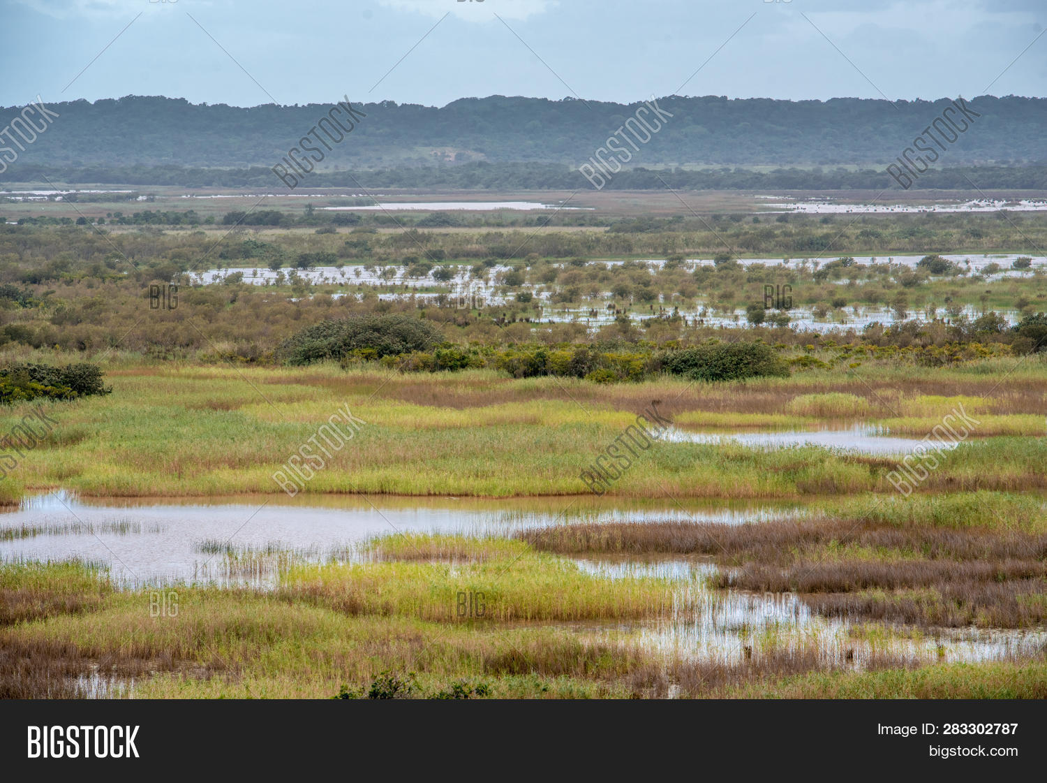 Wide Views Marshes Image & Photo (Free Trial) | Bigstock