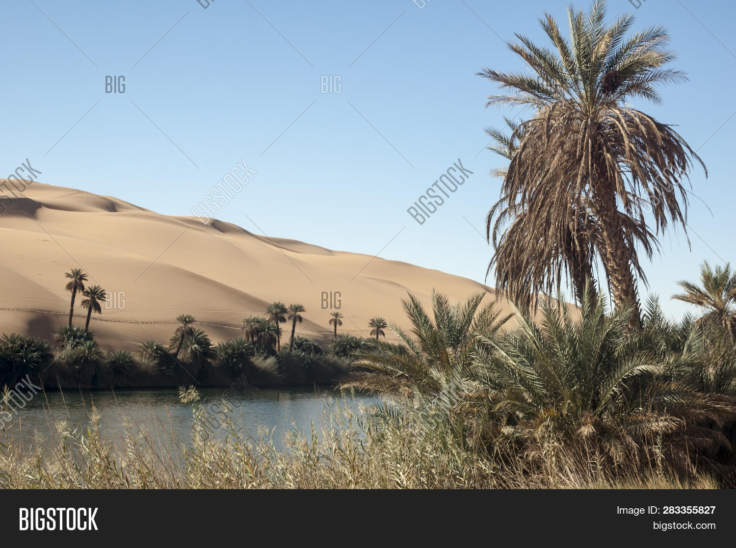 Ubari Oasi Sahara Image & Photo (Free Trial) | Bigstock