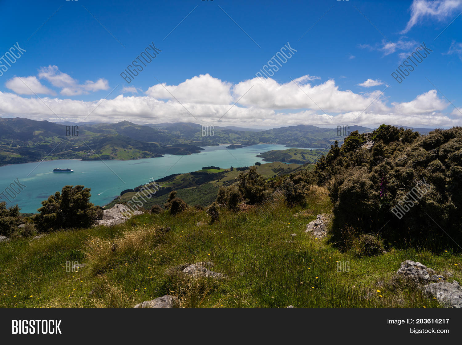 Akaroa Ocean Bay New Image & Photo (Free Trial) | Bigstock