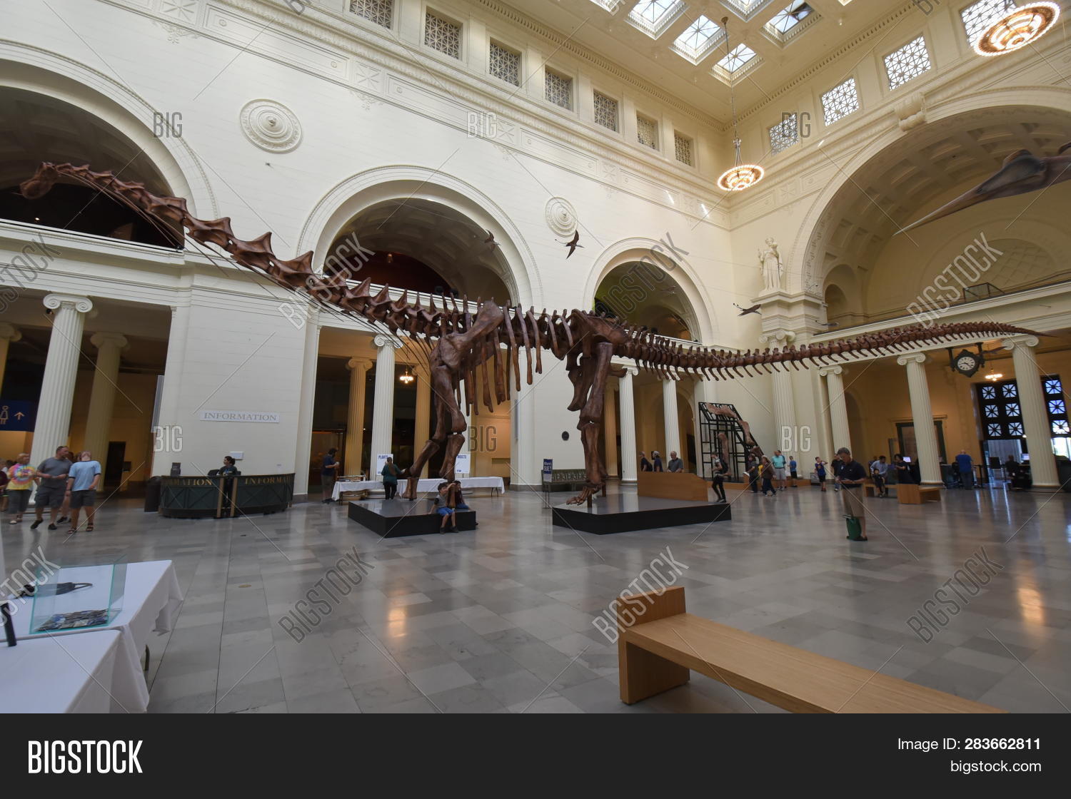 Field Museum Stanley Image & Photo (Free Trial) | Bigstock