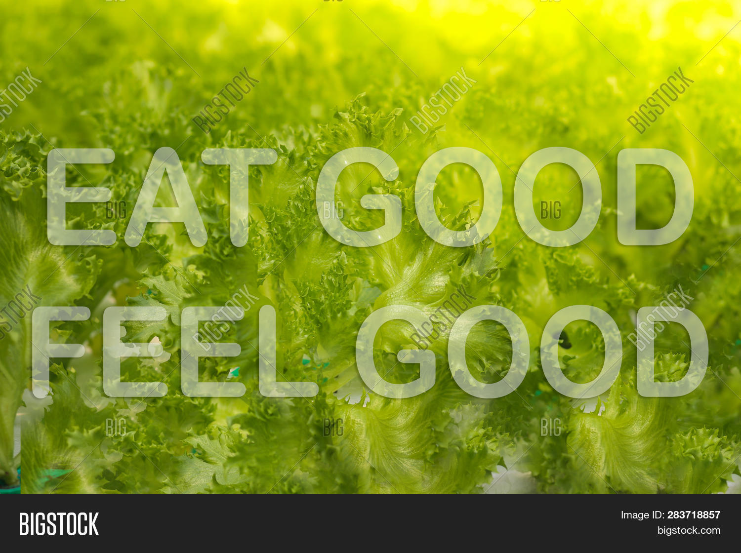 Eat Good Feel Good, Image & Photo (Free Trial) | Bigstock