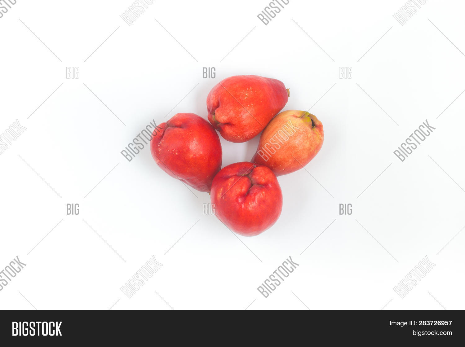 Jambo. Exotic Fruit Image & Photo (Free Trial) | Bigstock