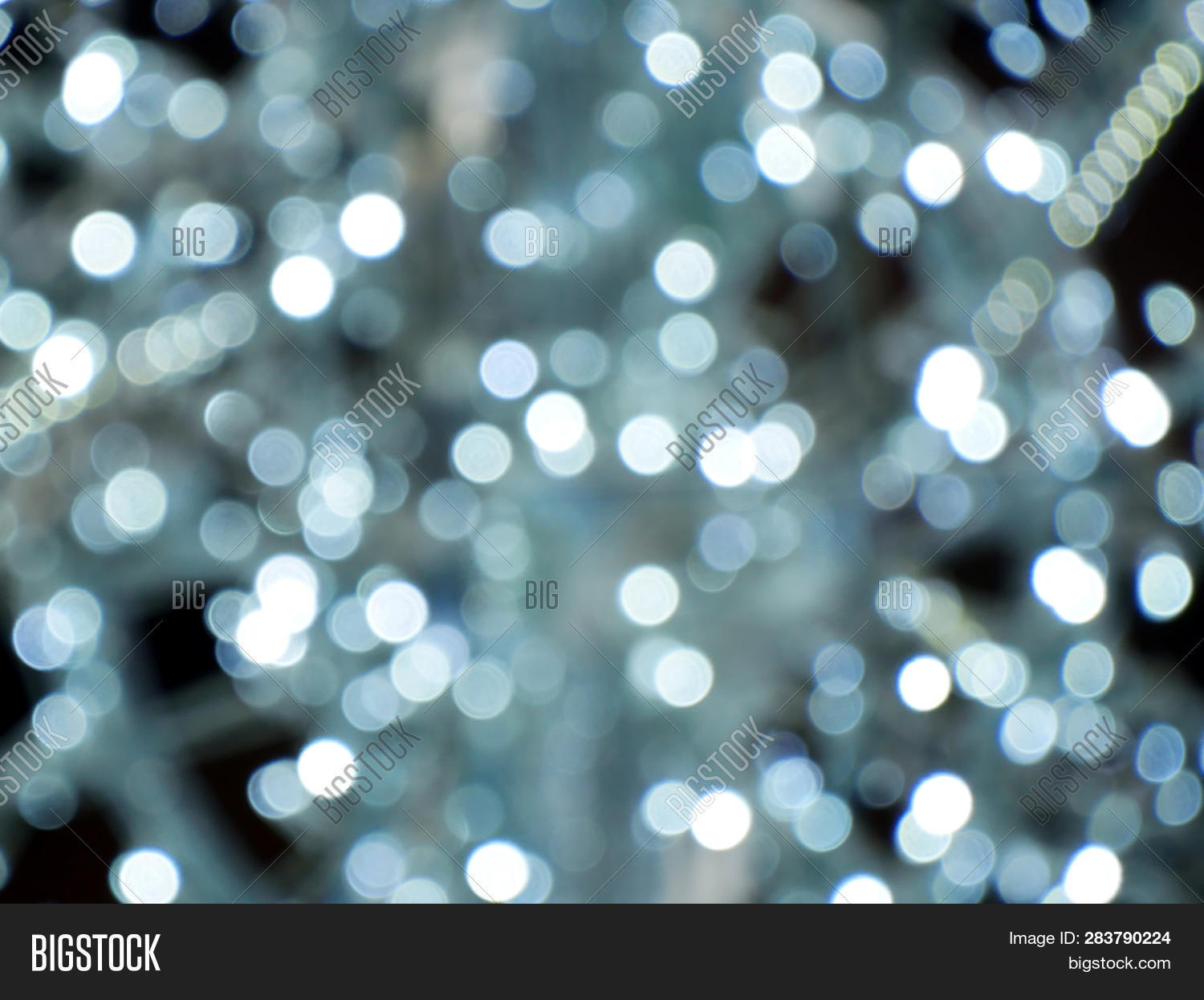 Beautiful Boche Image & Photo (Free Trial) | Bigstock