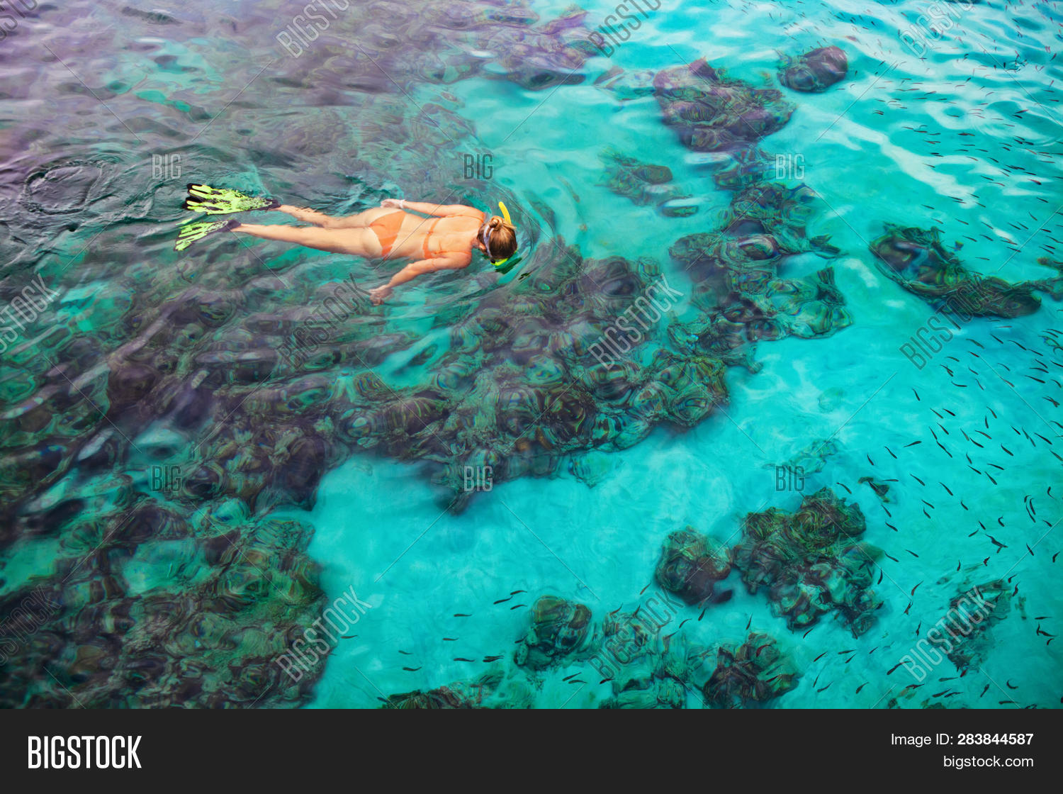 Happy Girl Snorkeling Image & Photo (Free Trial) | Bigstock
