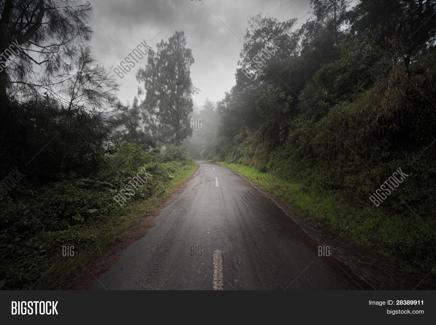 Wet Asphalt Road Image & Photo (Free Trial) | Bigstock