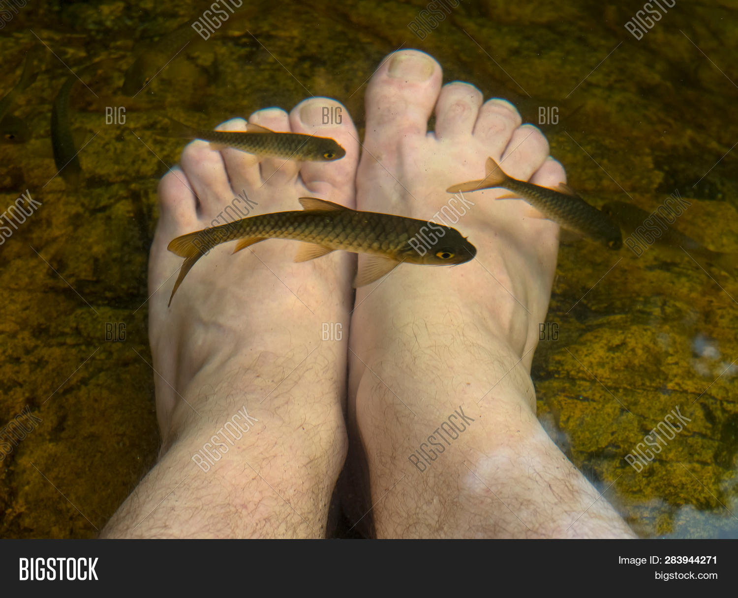 Fish Massage. Male Image & Photo (Free Trial) | Bigstock
