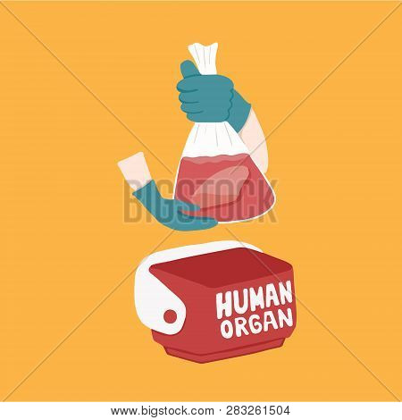 Organ Transplantation Vector & Photo (Free Trial) | Bigstock