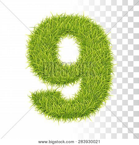 9. Vector Number Nine Vector & Photo (Free Trial) | Bigstock