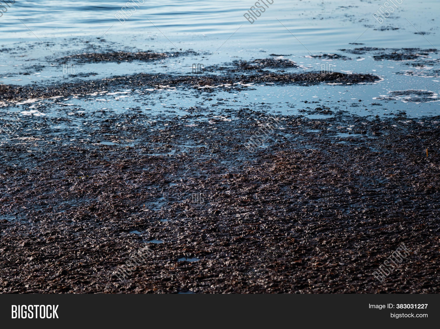 Dark Smelly Waste On Image & Photo (Free Trial) | Bigstock