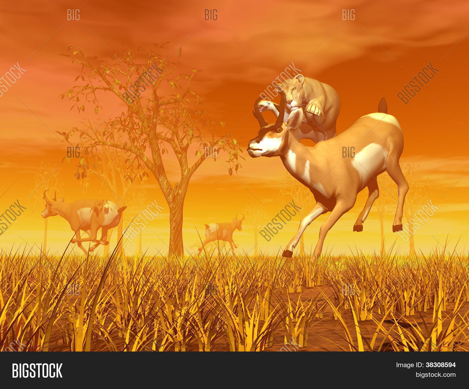 Hunting Scene Nature Image & Photo (Free Trial) | Bigstock