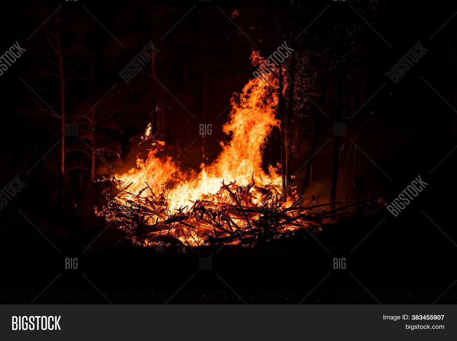 Big Flames Forest Image & Photo (Free Trial) | Bigstock