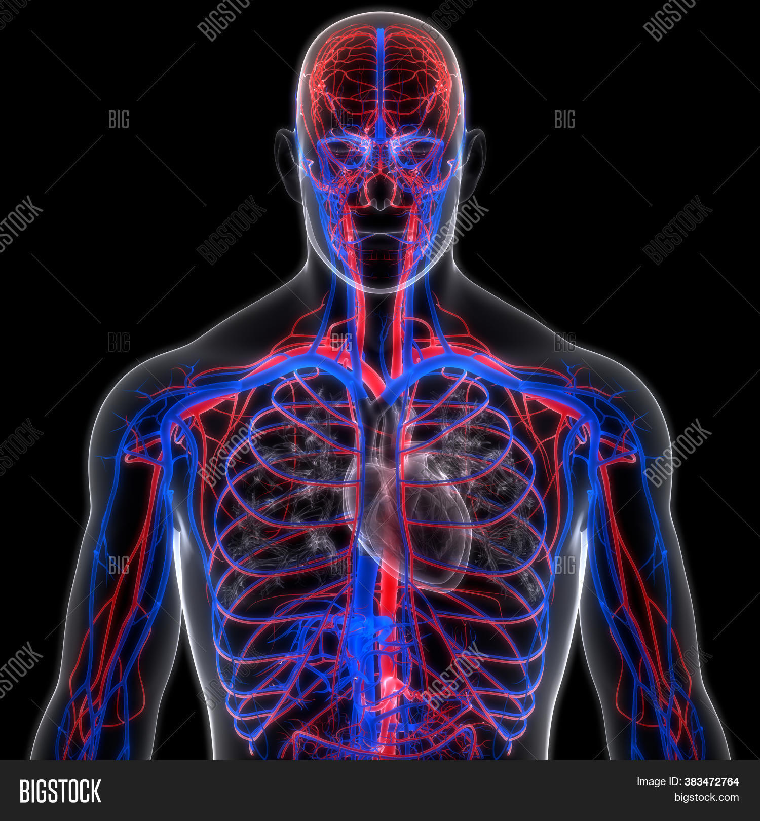 3d Illustration Image & Photo (Free Trial) | Bigstock