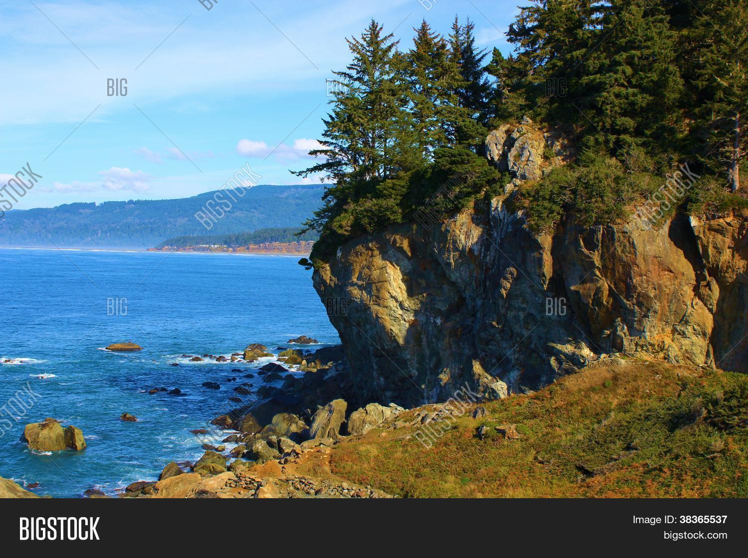 Forest Meets Ocean Image & Photo (Free Trial) | Bigstock