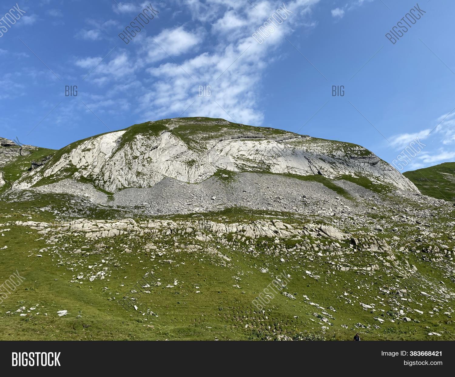 Alpine Rock Plate Image & Photo (Free Trial) | Bigstock