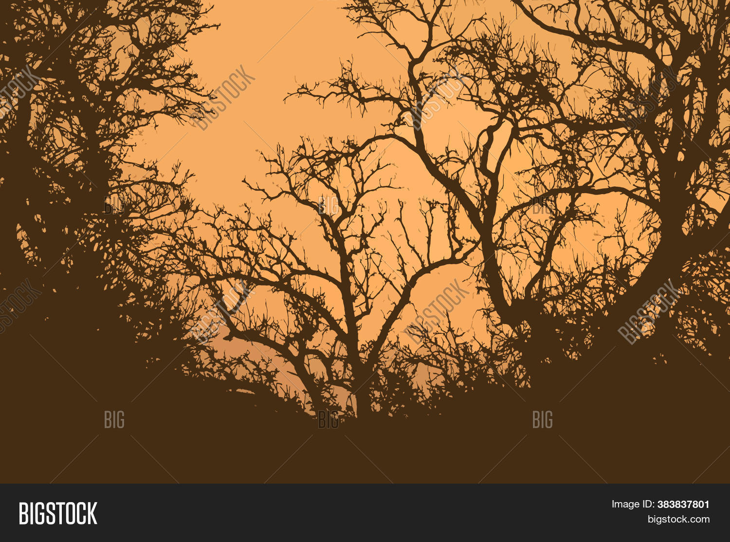 Spooky Halloween Trees Image & Photo (Free Trial) | Bigstock