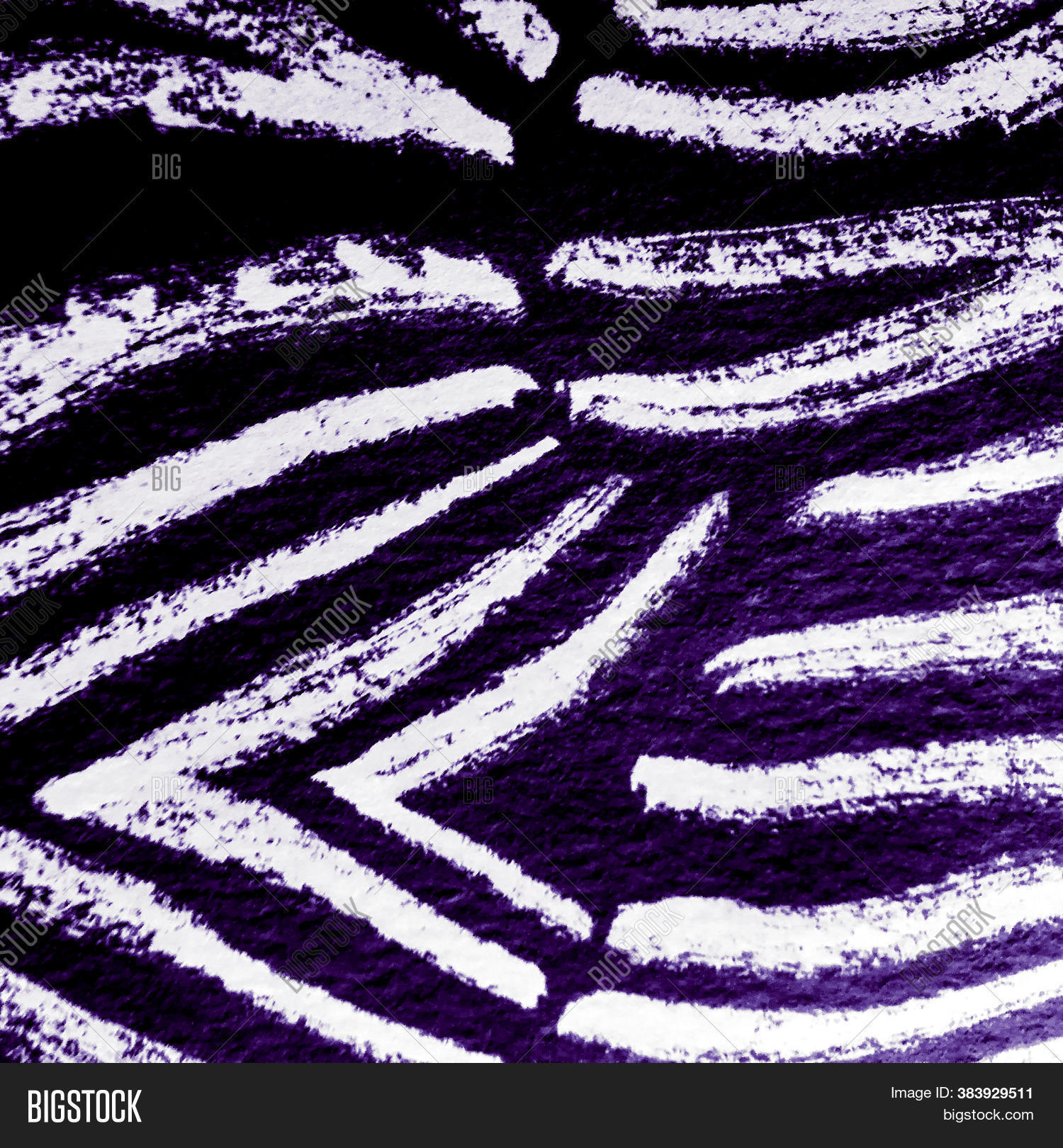 Bright Zebra Pattern. Image & Photo (Free Trial) | Bigstock