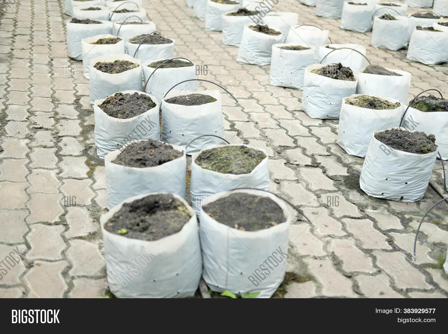 Soil & Fertilizer Image & Photo (Free Trial) | Bigstock