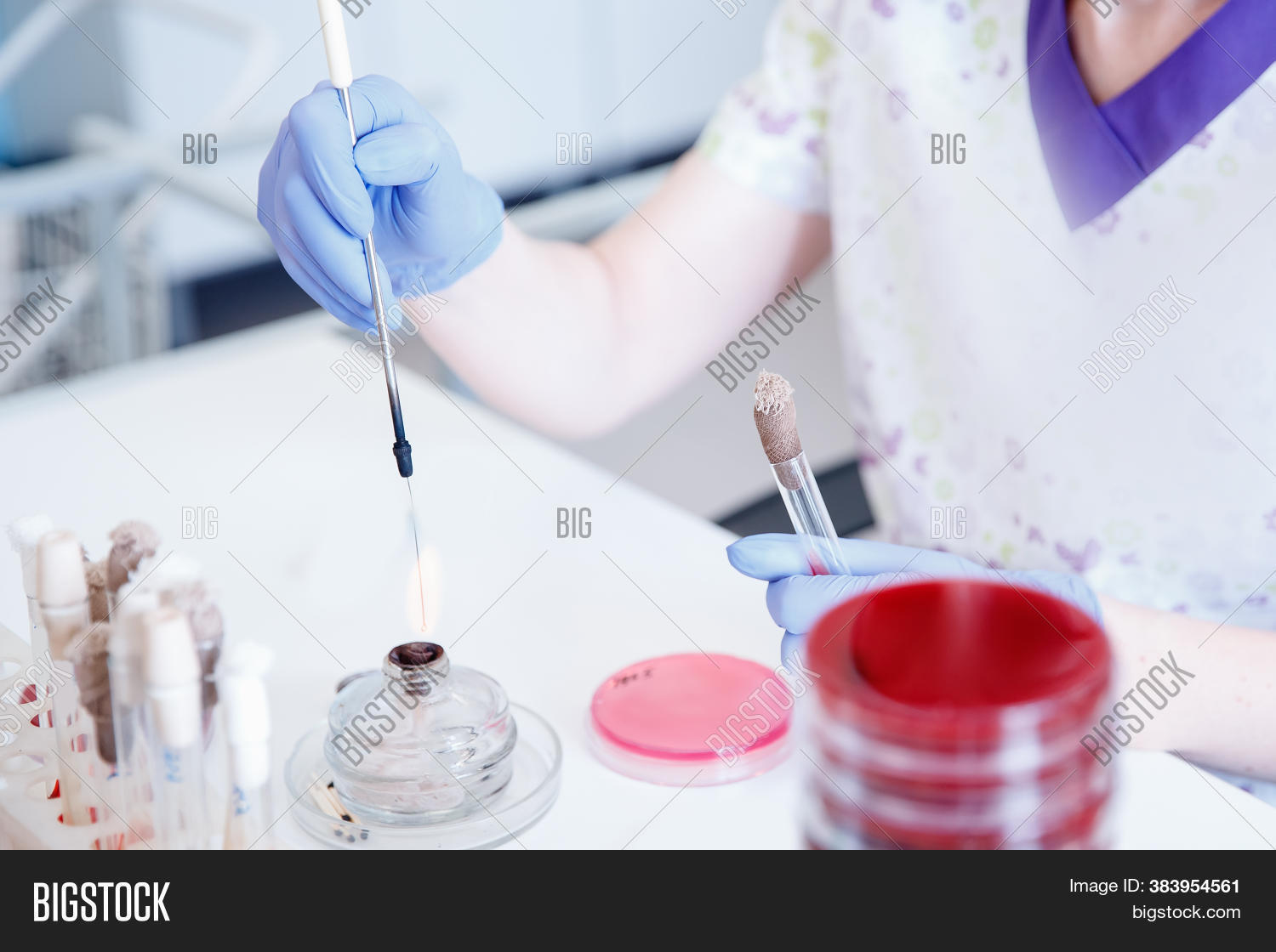 Microbiology Hand Image & Photo (Free Trial) | Bigstock