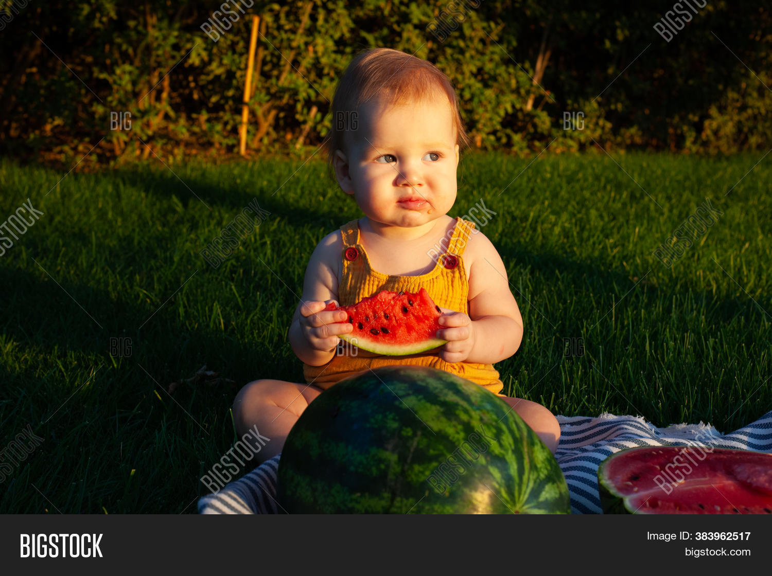 Little Kid Watermelon Image & Photo (Free Trial) | Bigstock