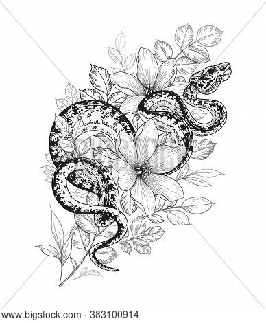 Hand Drawn Twisted Vector & Photo (Free Trial) | Bigstock