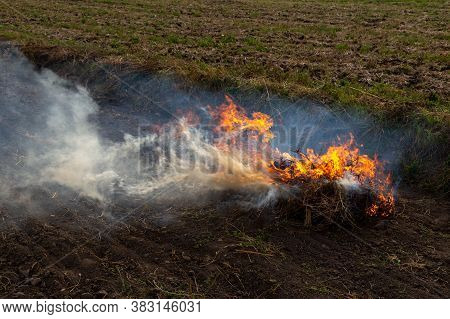 Slash--burn Image & Photo (Free Trial) | Bigstock