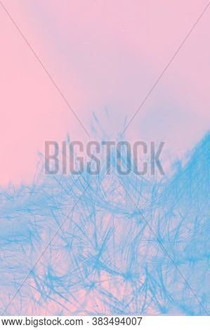 Light Blue Fluffy Image & Photo (Free Trial) | Bigstock
