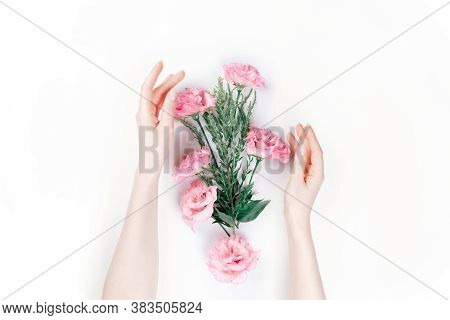 Delicate Female Hands Image & Photo (Free Trial) | Bigstock