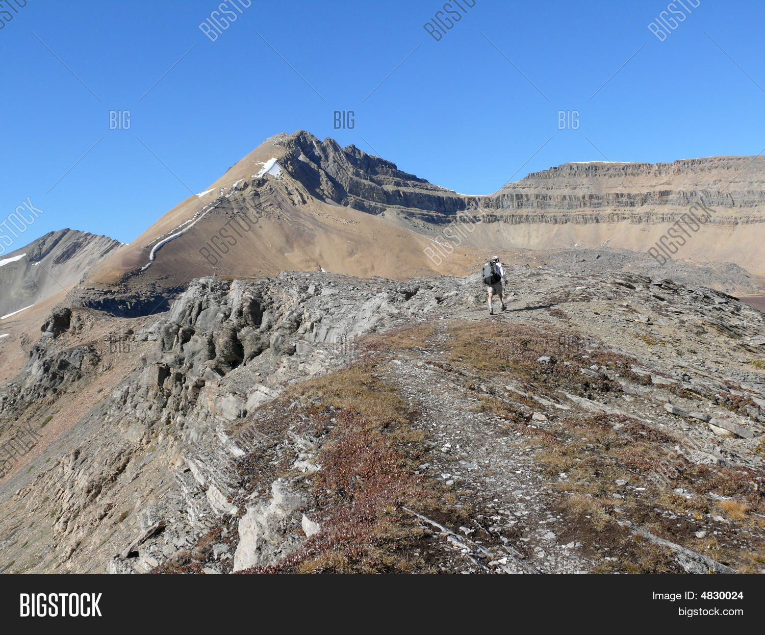 Hiking Above Treeline Image & Photo (Free Trial) | Bigstock