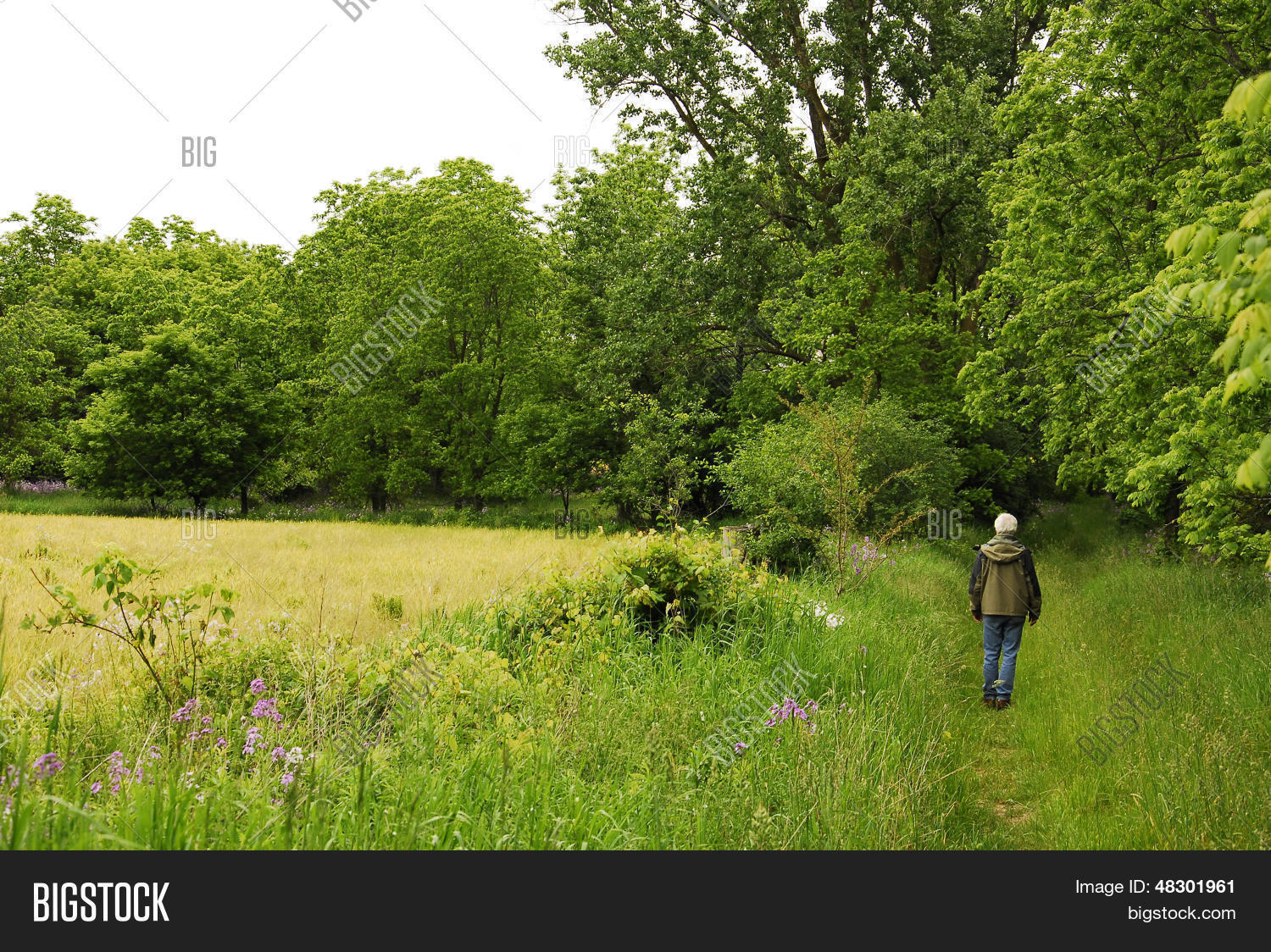 Man Walking Alone Image & Photo (Free Trial) | Bigstock