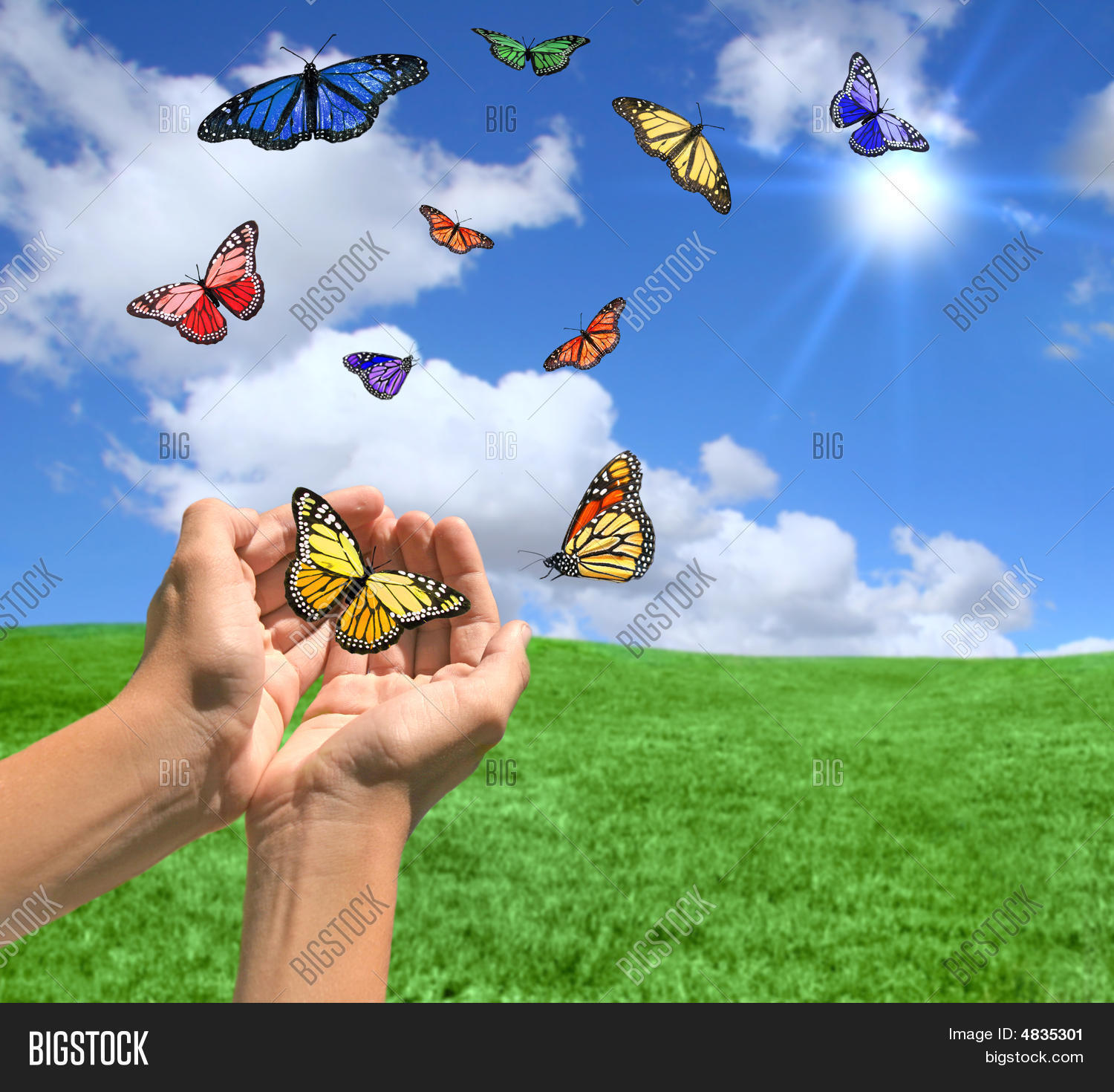 Happy Bright Landscape Image & Photo (Free Trial) | Bigstock