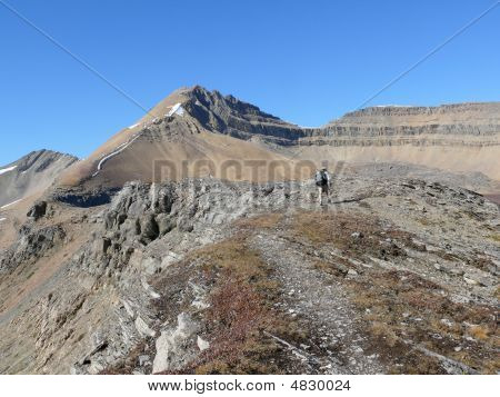 Hiking Above Treeline Image & Photo (Free Trial) | Bigstock