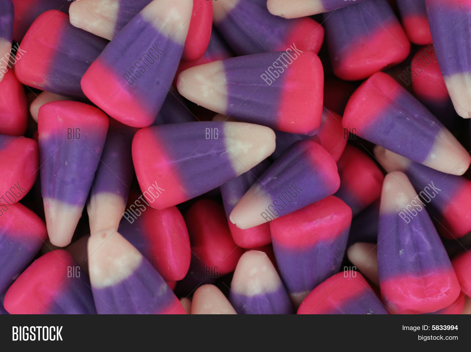 Purple, Pink White Image & Photo (Free Trial) | Bigstock