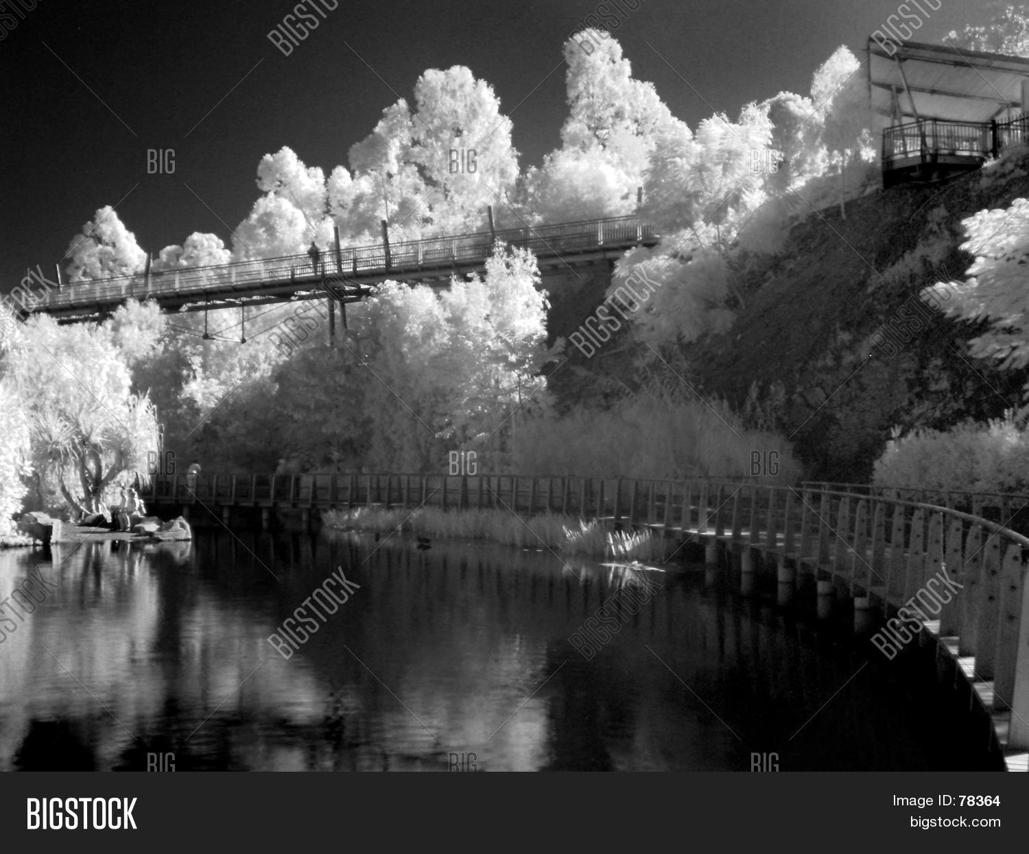 Infrared Bridges Image & Photo (Free Trial) | Bigstock