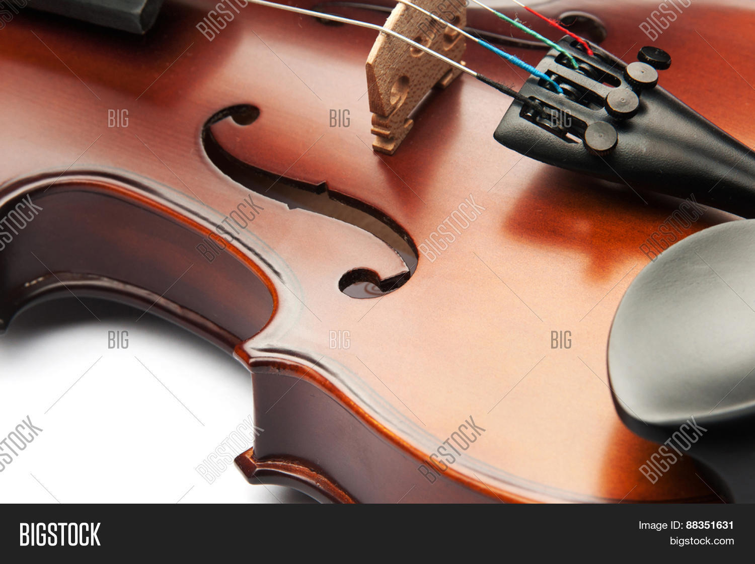 Violin Isolated On Image & Photo (Free Trial) | Bigstock